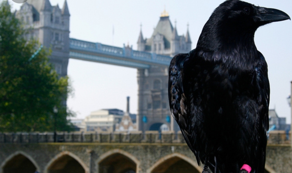 Haunted London |Tower of London - Paranormal Hauntings